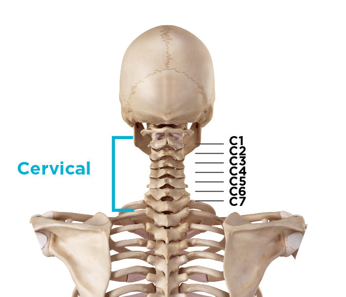 Acupuncture for Neck Pain: A Natural Solution - Balance Acupuncture & Herbs